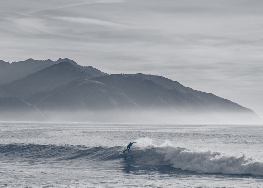 Market Commentary: Outlook 2026 - Riding the Wave — FCM Financial